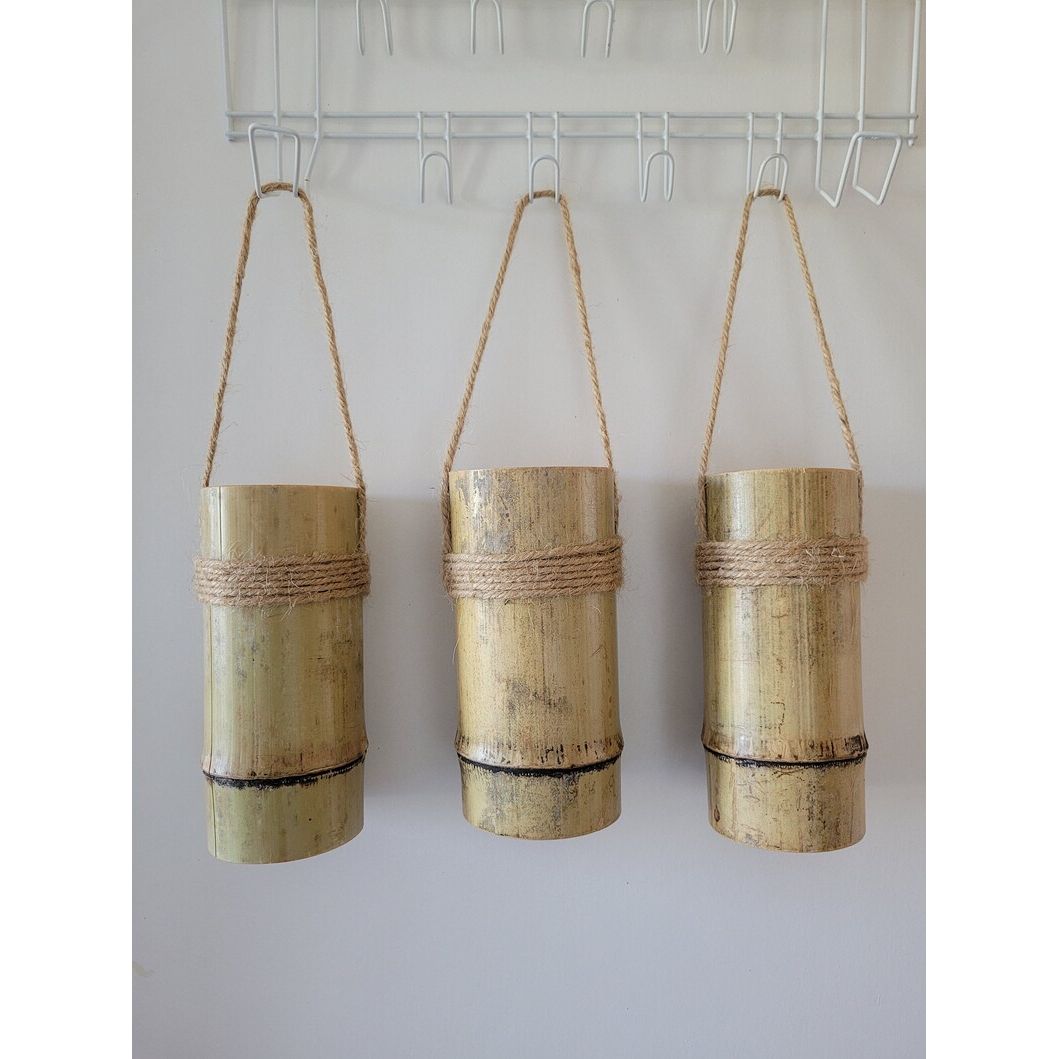 Bamboo Planters: How to Make Container Gardening Sustainable and Easy ...